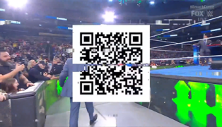 Spoiler On Plans For WWE QR Code Reveal | 411MANIA | Wrestling News ...